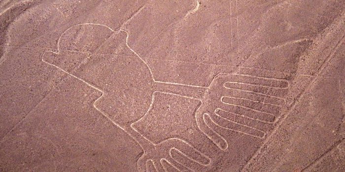 Full Day Nazca Lines Overflight: Departure from Ica