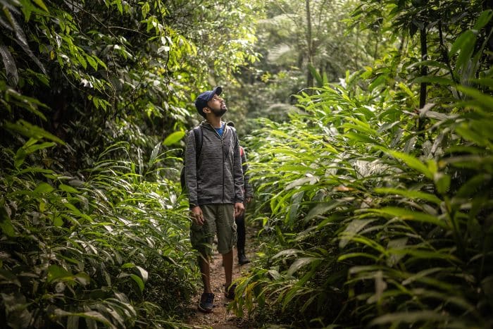 Manu Rainforest Escape: 3 Days of Amazon Wildlife