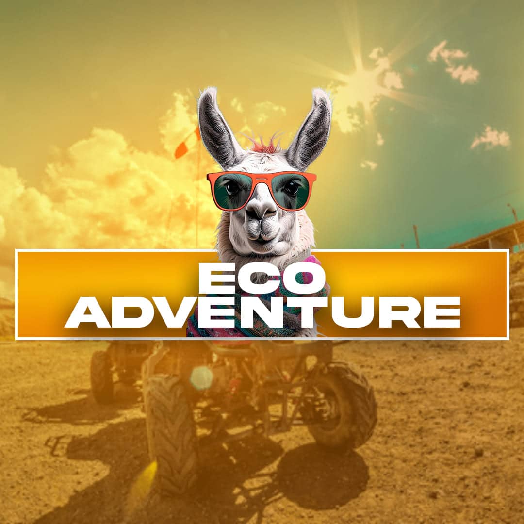 EcoAdventure: The Ultimate Adrenaline Hub Experience