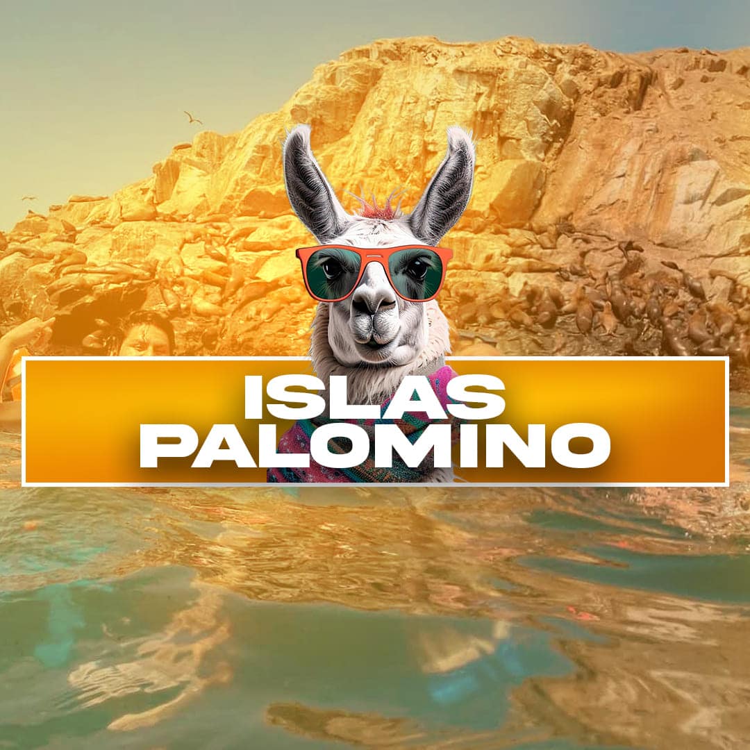 Isla Palomino: Descubre este paraíso en Puerto Rico