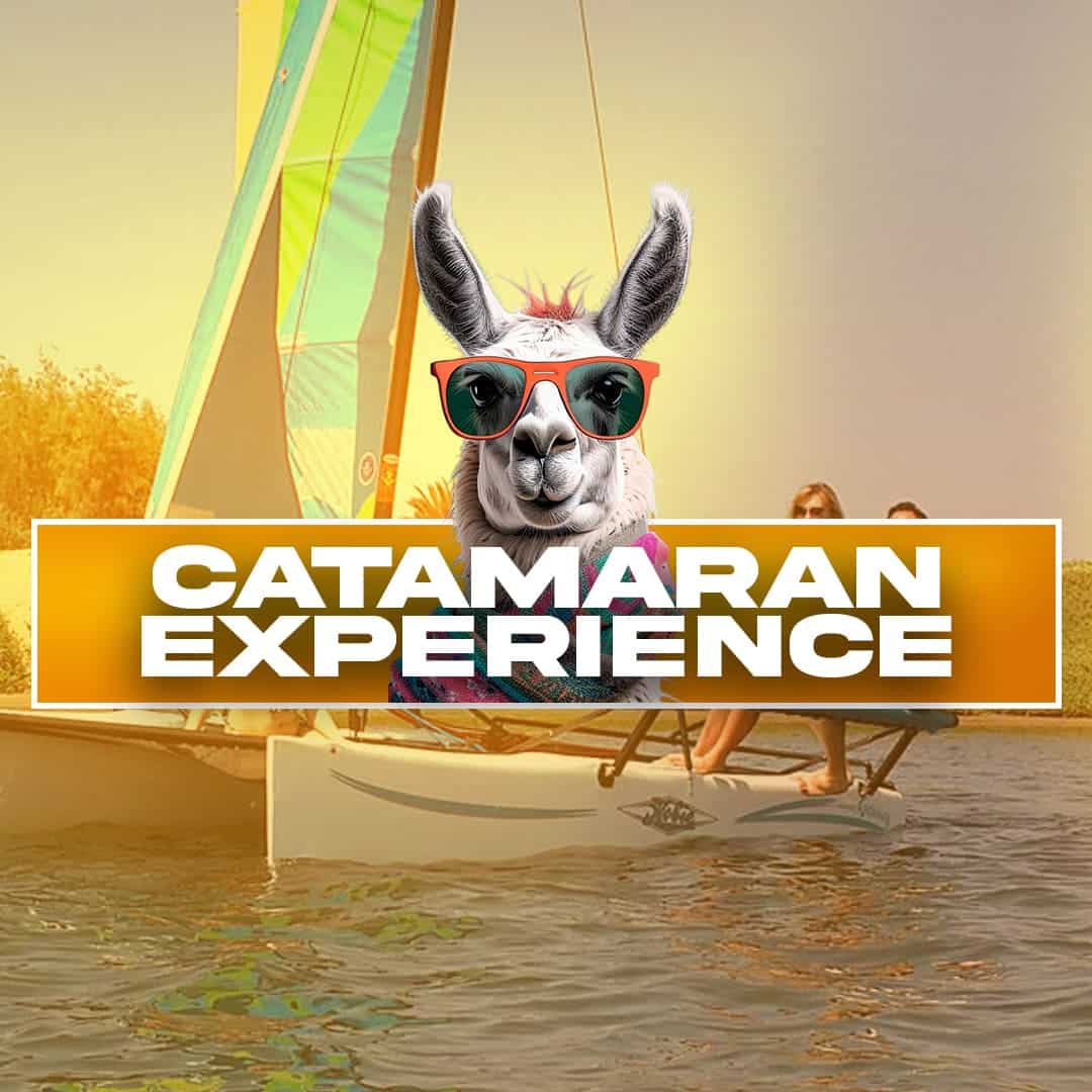 Sail on a Catamaran: Discover the Beauty of Paracas Bay